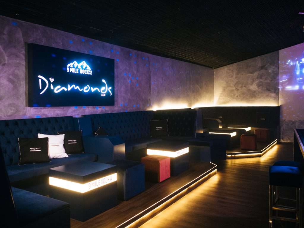 Elevate Your Night Out